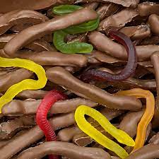 Chocolate Snakes 100g | Lollie Lane